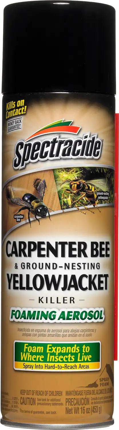 Spectracide 16-oz Carpenter Bee and Yellow Jacket Insect Killer Aerosol ...