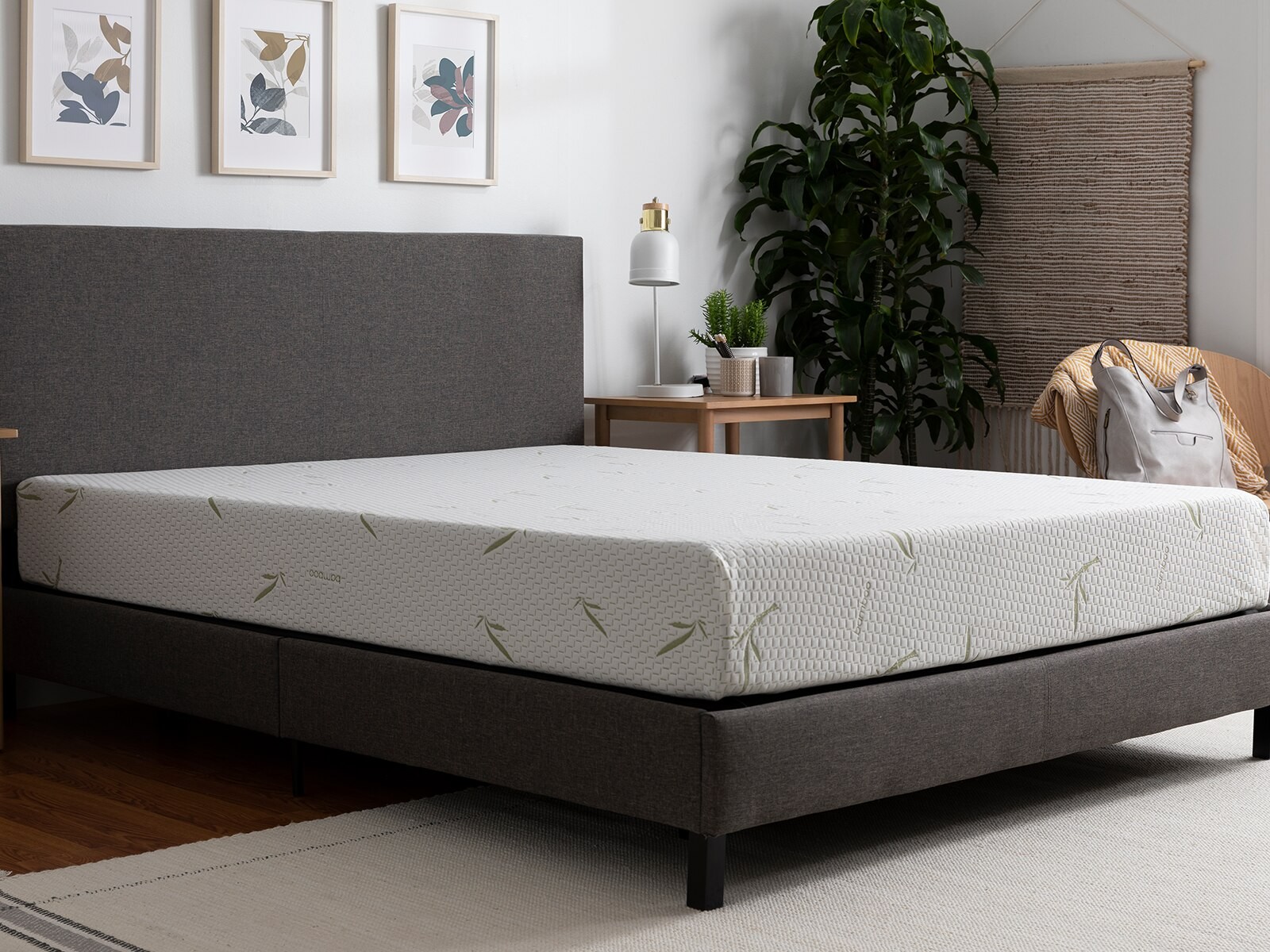 Mejores ofertas e historial de precios de Tulo Bamboo 8" Medium Green ...
