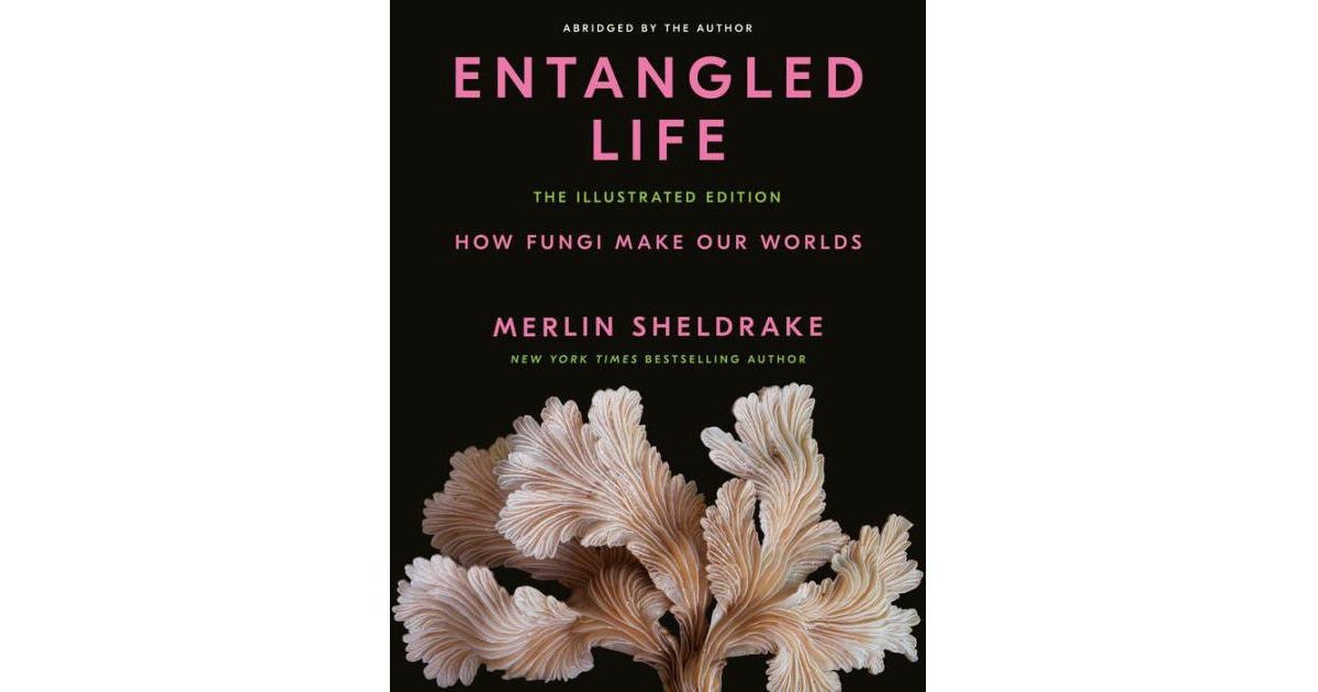 Entangled Life- The Illustrated Edition- How Fungi Make Our Worlds by ...