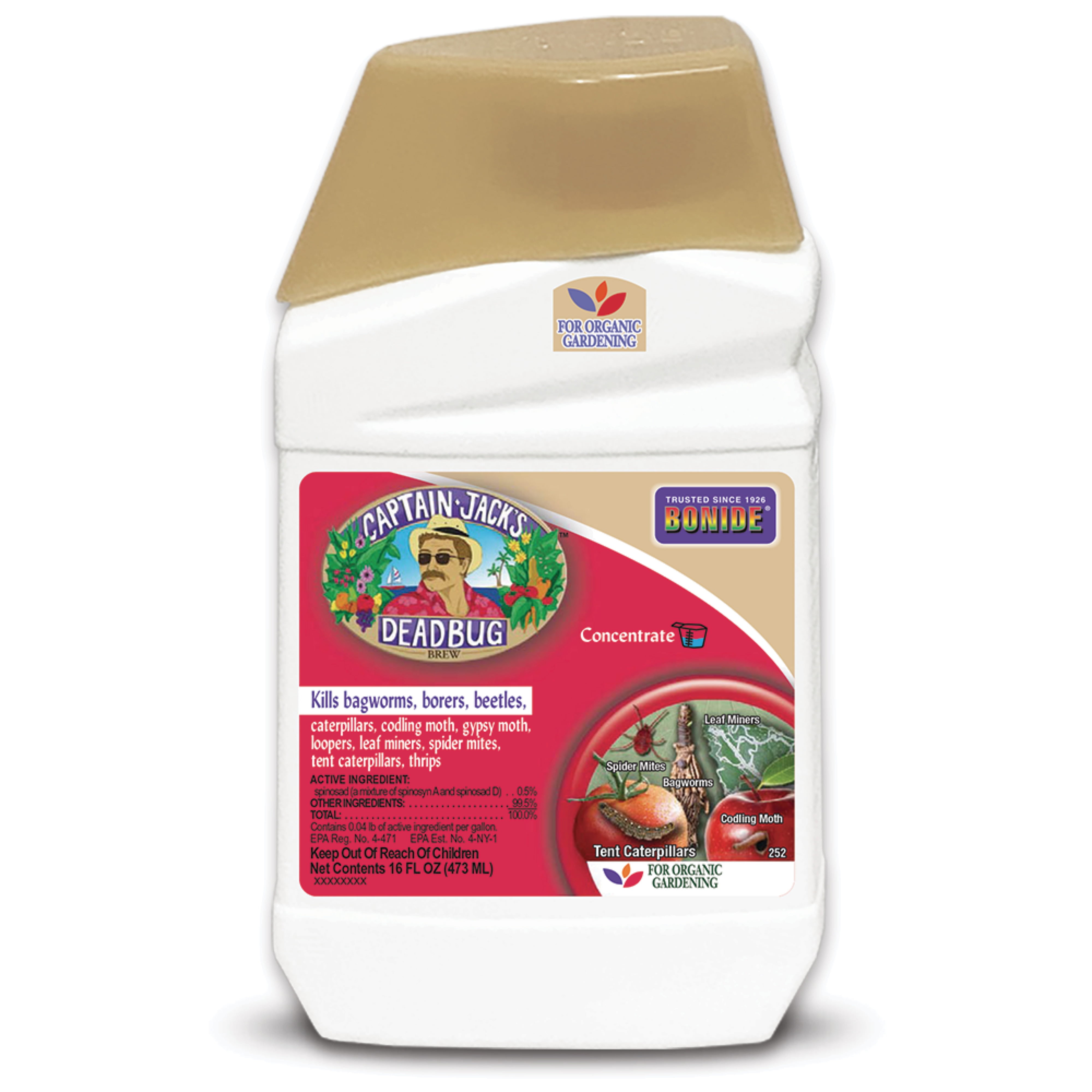 Bonide Captain Jack's 16 oz Deadbug Brew Concentrated Insecticide for ...