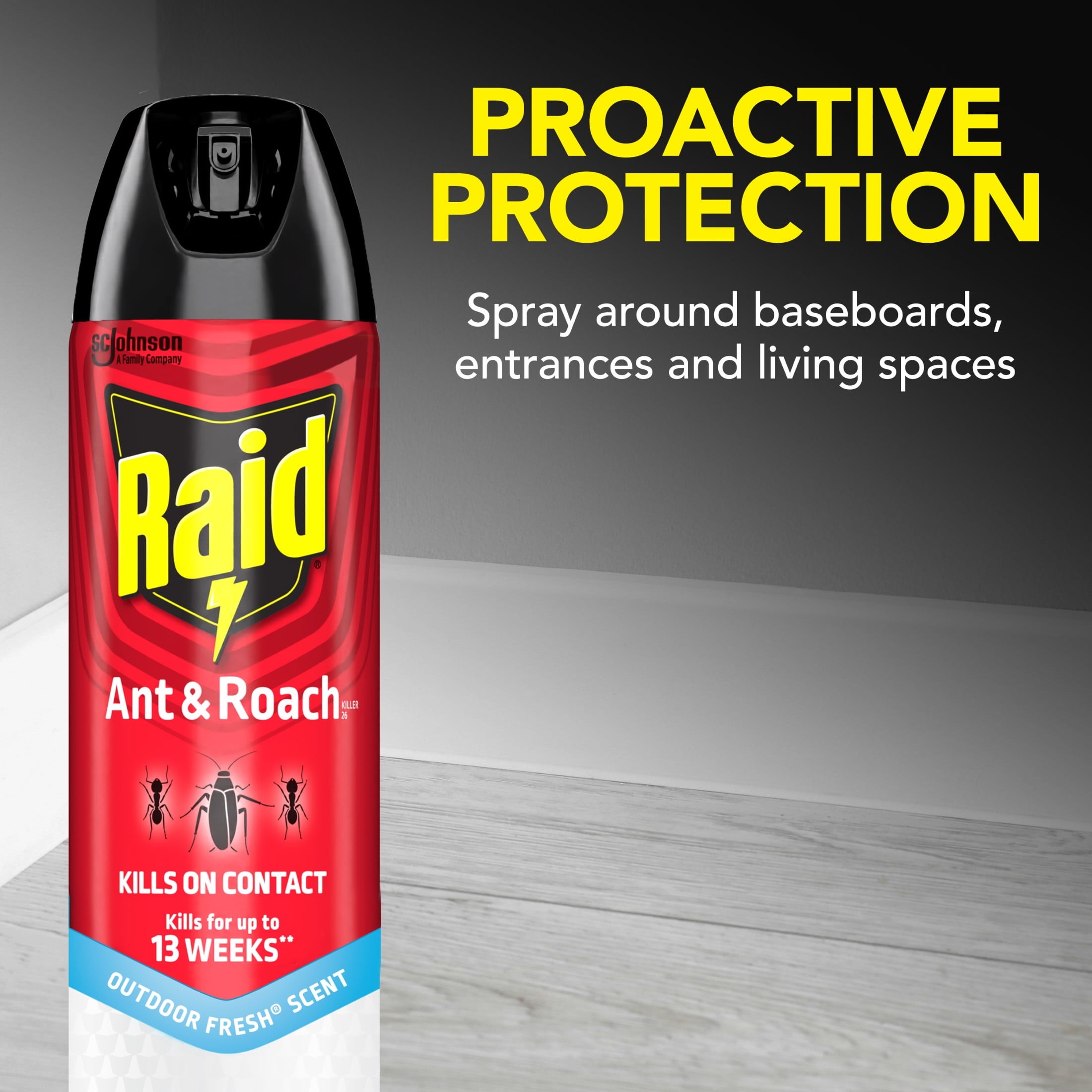Raid Ant & Roach Killer, Indoor Insecticide, Residual Killing Power ...