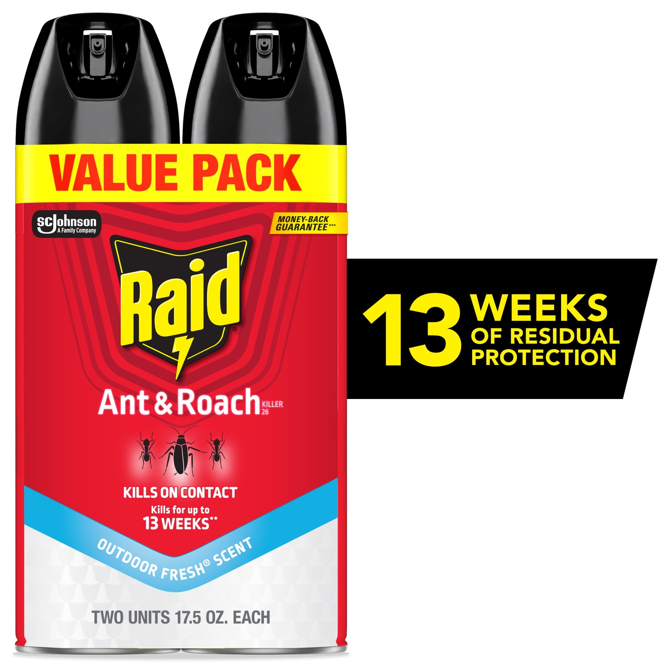 Raid Ant & Roach Killer, Indoor Insecticide, Residual Killing Power ...