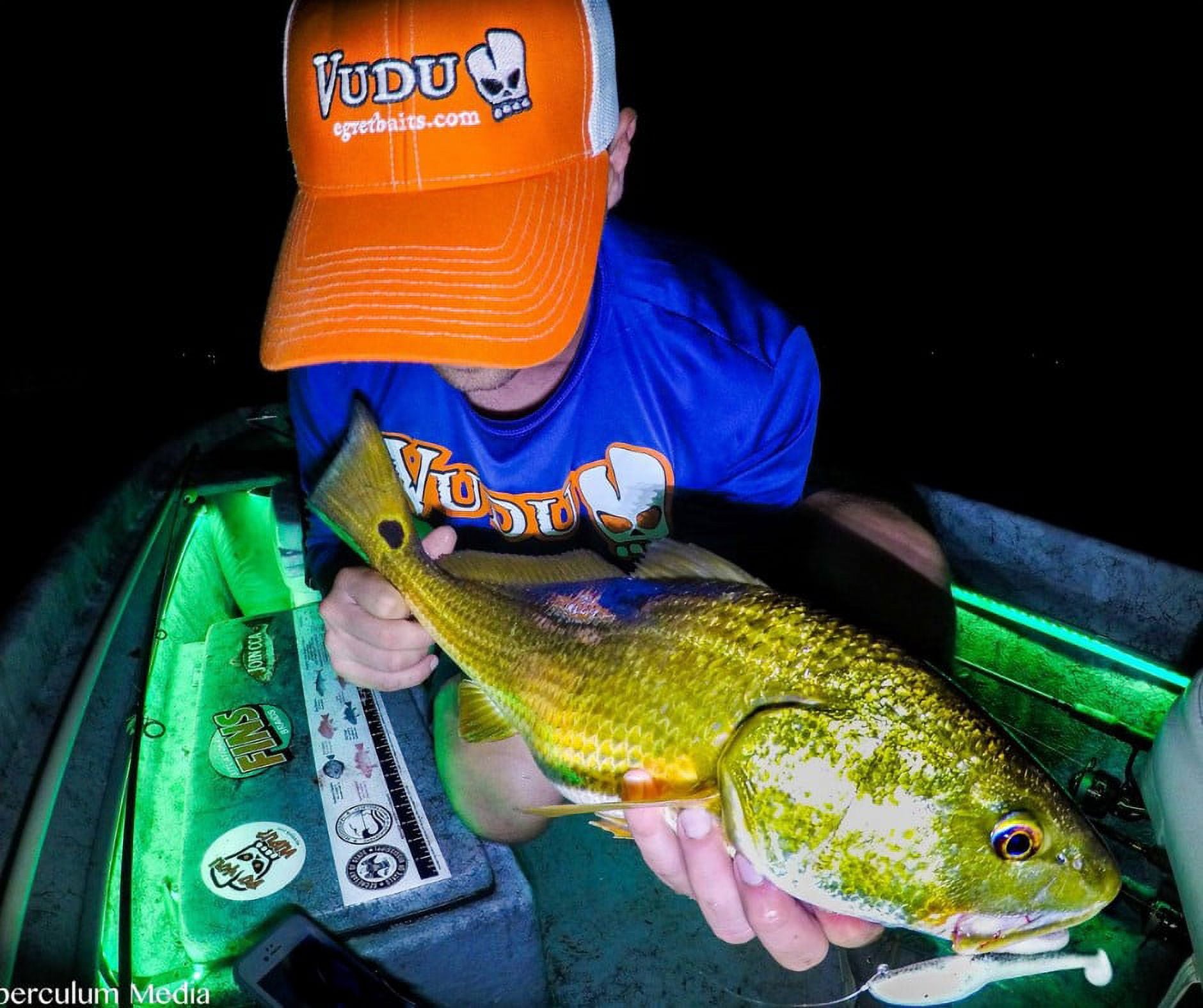 Egret Baits Vudu Shrimp 3.25 In., Golden Fishing Lure Best Deals and ...