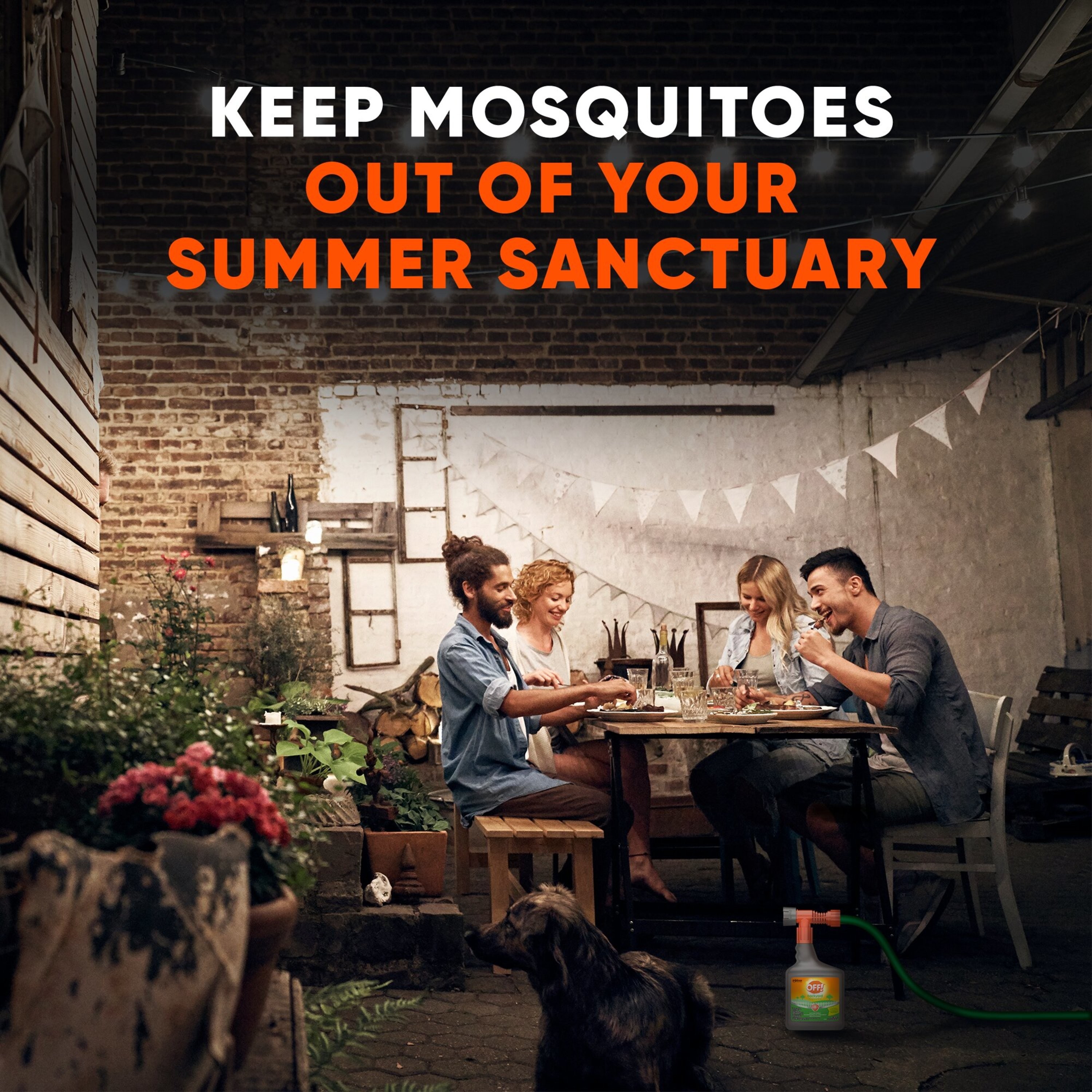 Mejores ofertas e historial de precios de OFF! Backyard Bug Control ...