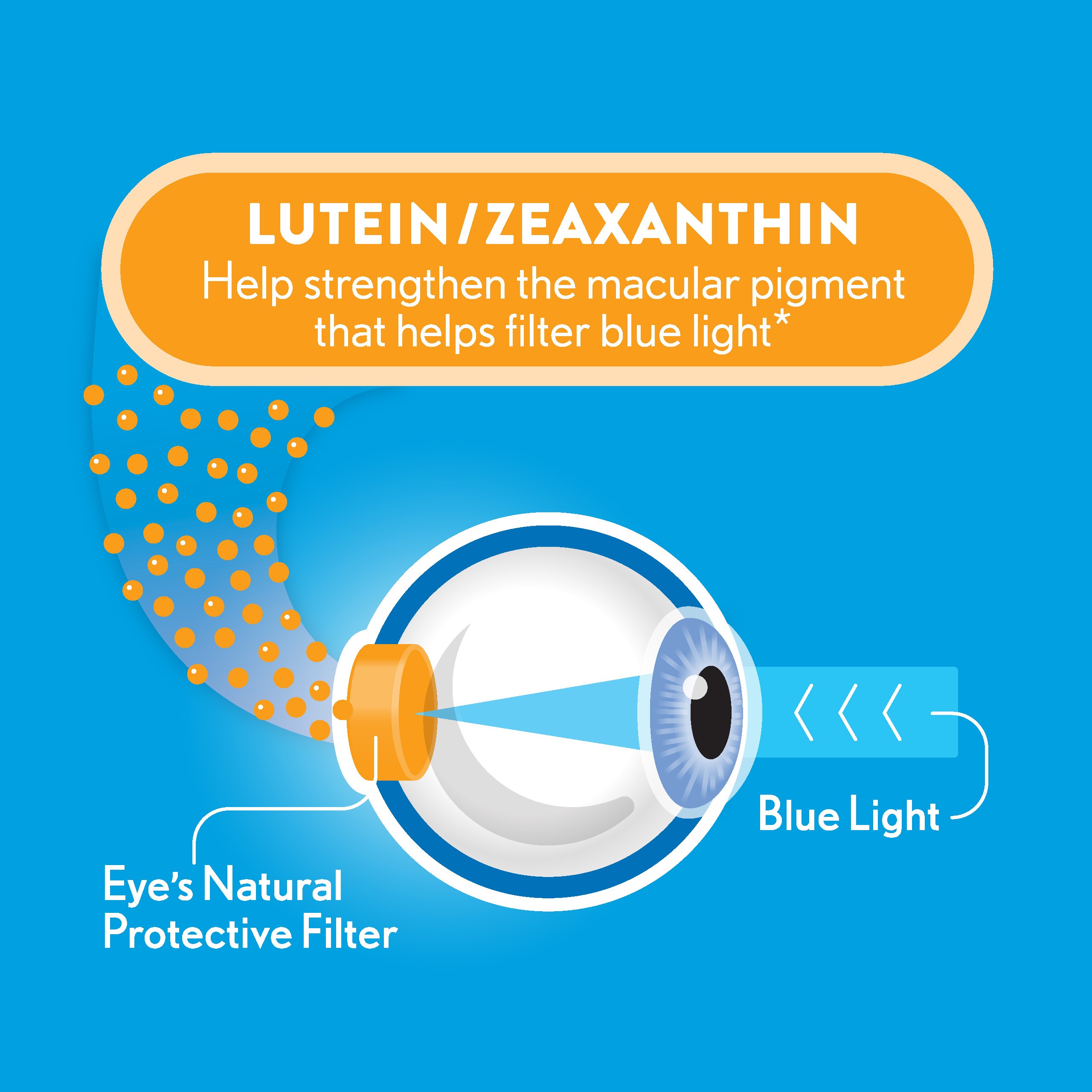 Bausch + Lomb Ocuvite Blue Light Lutein 25mg Lutein & Zeaxanthin ...