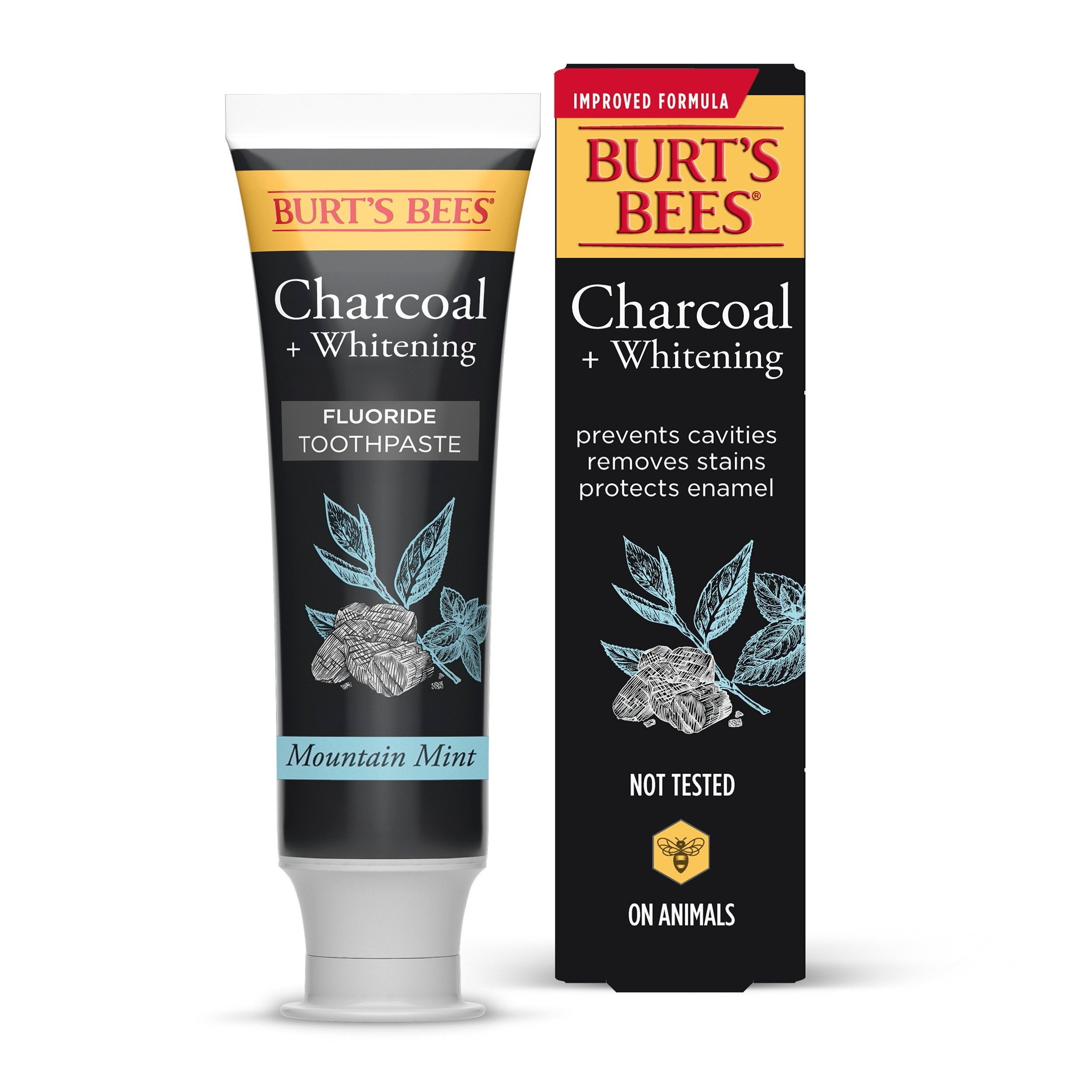 Burt's Bees Toothpaste, Natural Flavor, Charcoal with Fluoride ...