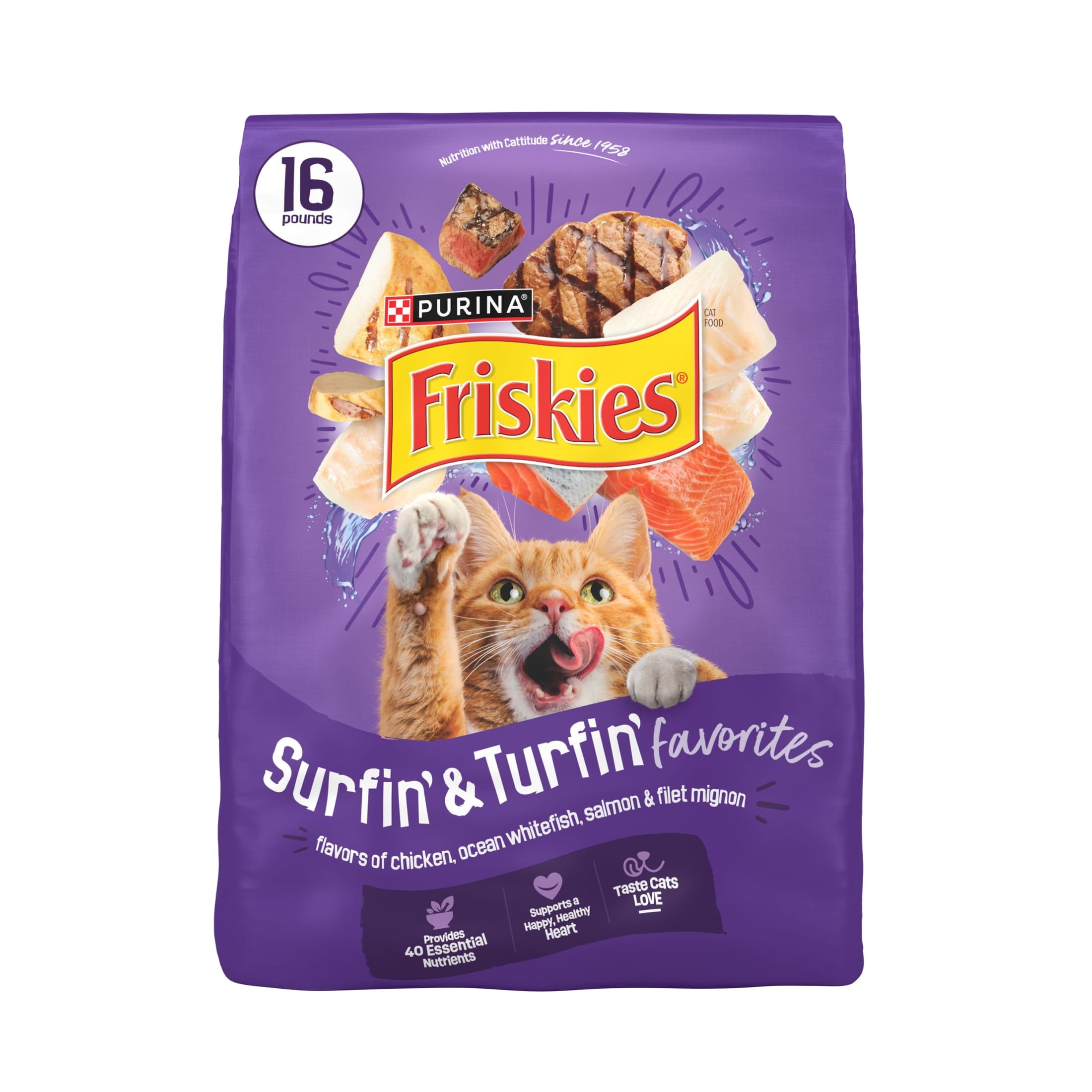 Purina Friskies Surfin and Turfin Dry Cat Food Flavors of Chicken ...