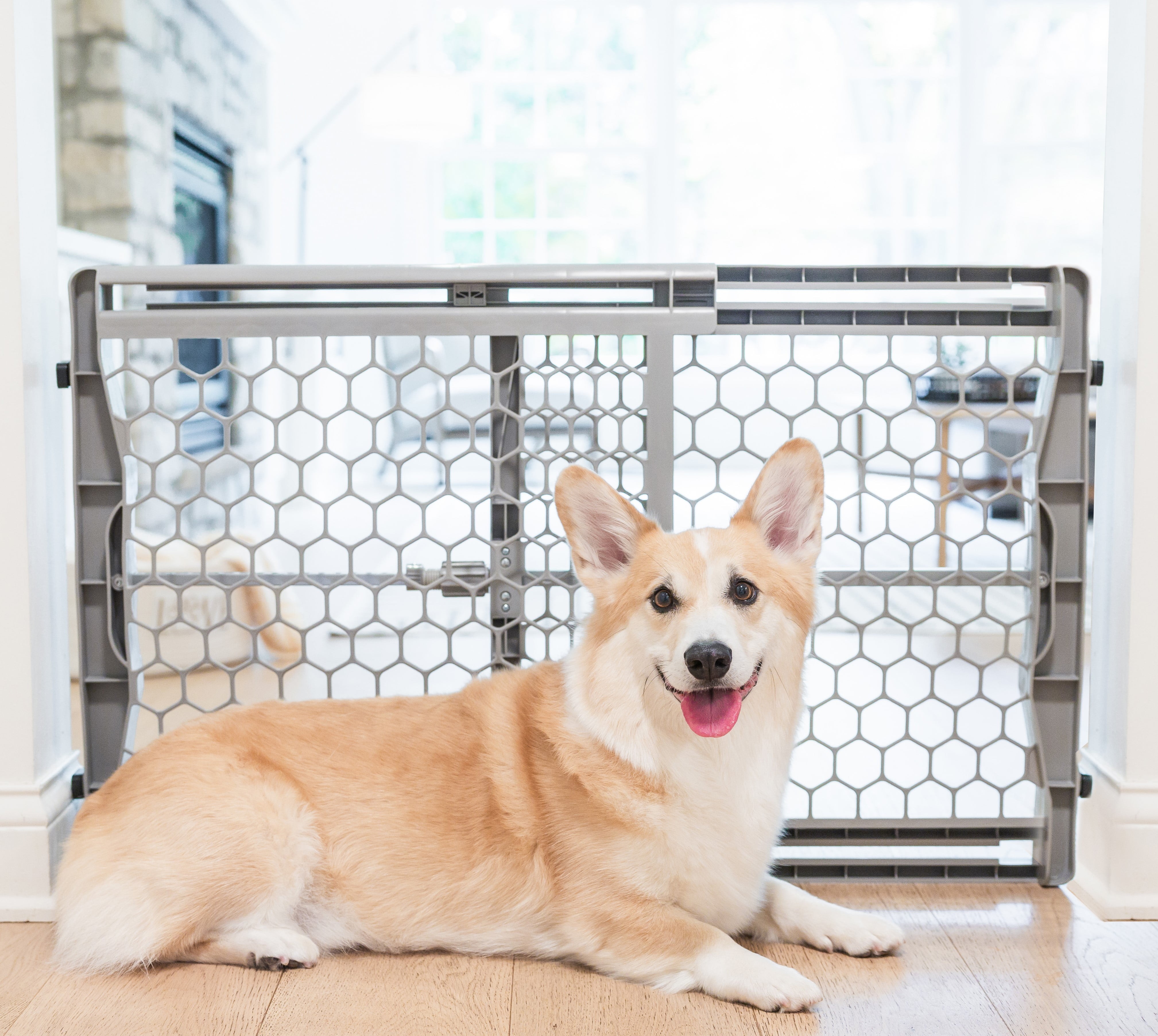 Carlson Pet Products Expandable Pet Gate, 28