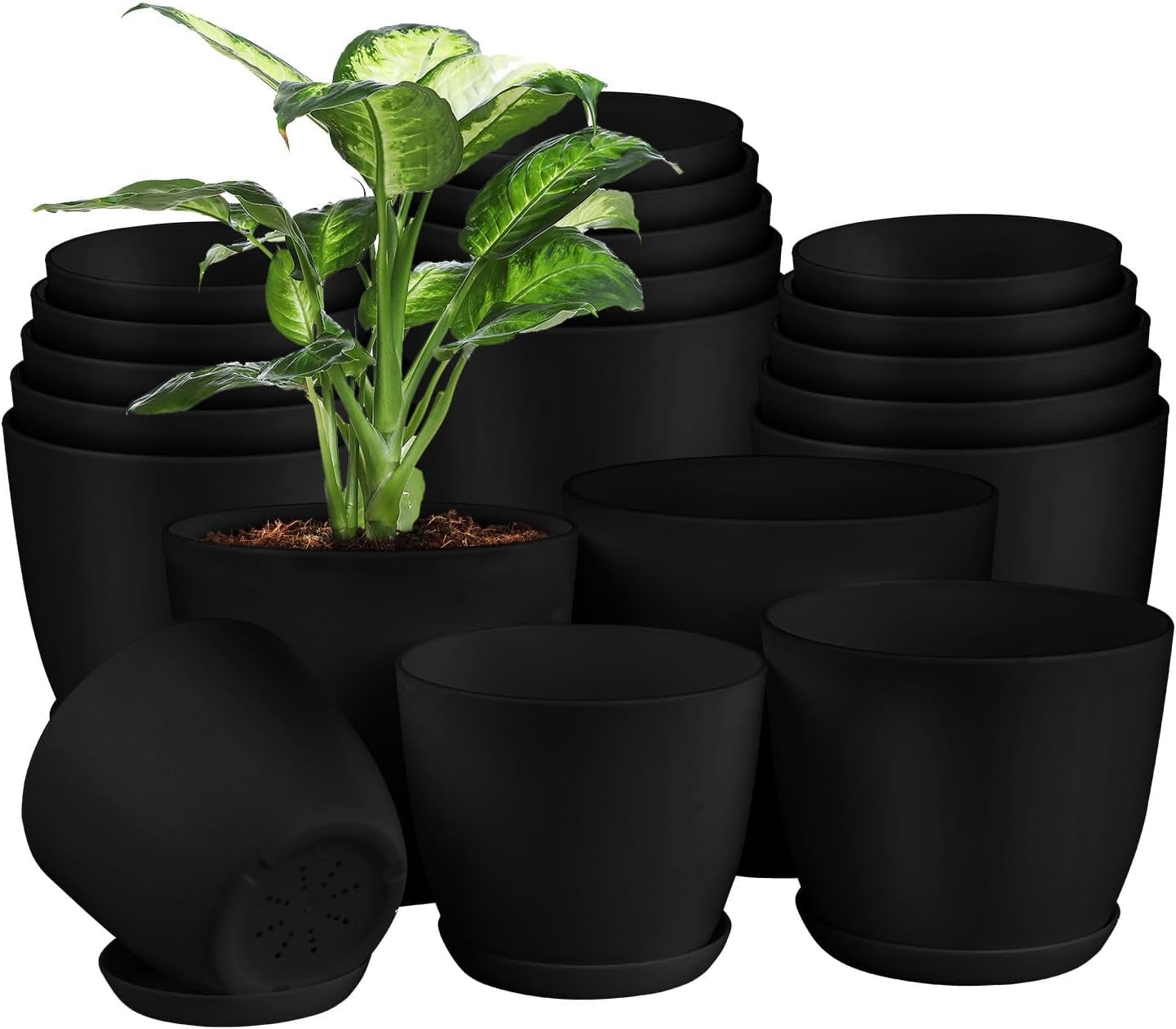 Plant Pots with Multi Drainage Holes - 20 Pieces Versatile, Sturdy ...