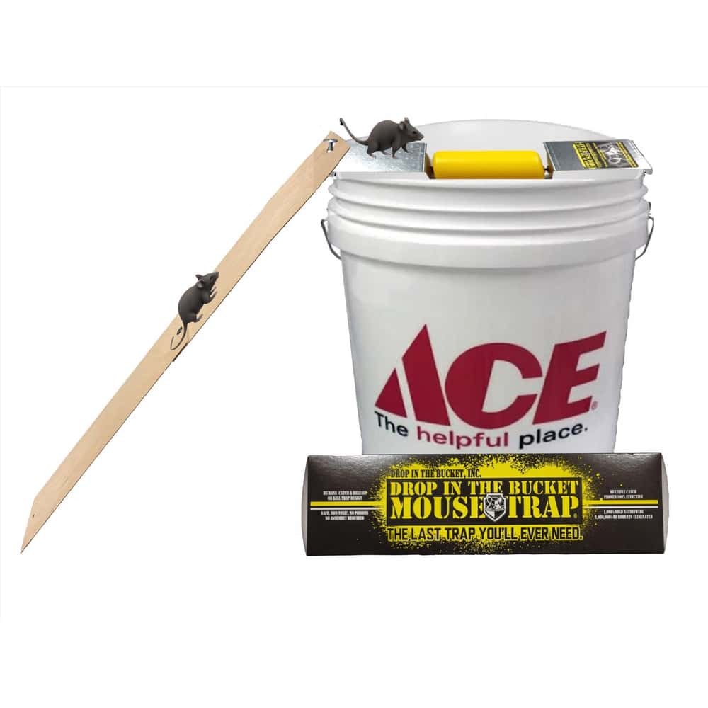 Drop In The Bucket, INC. Rodent Trap Medium Multiple Catch Animal Trap ...