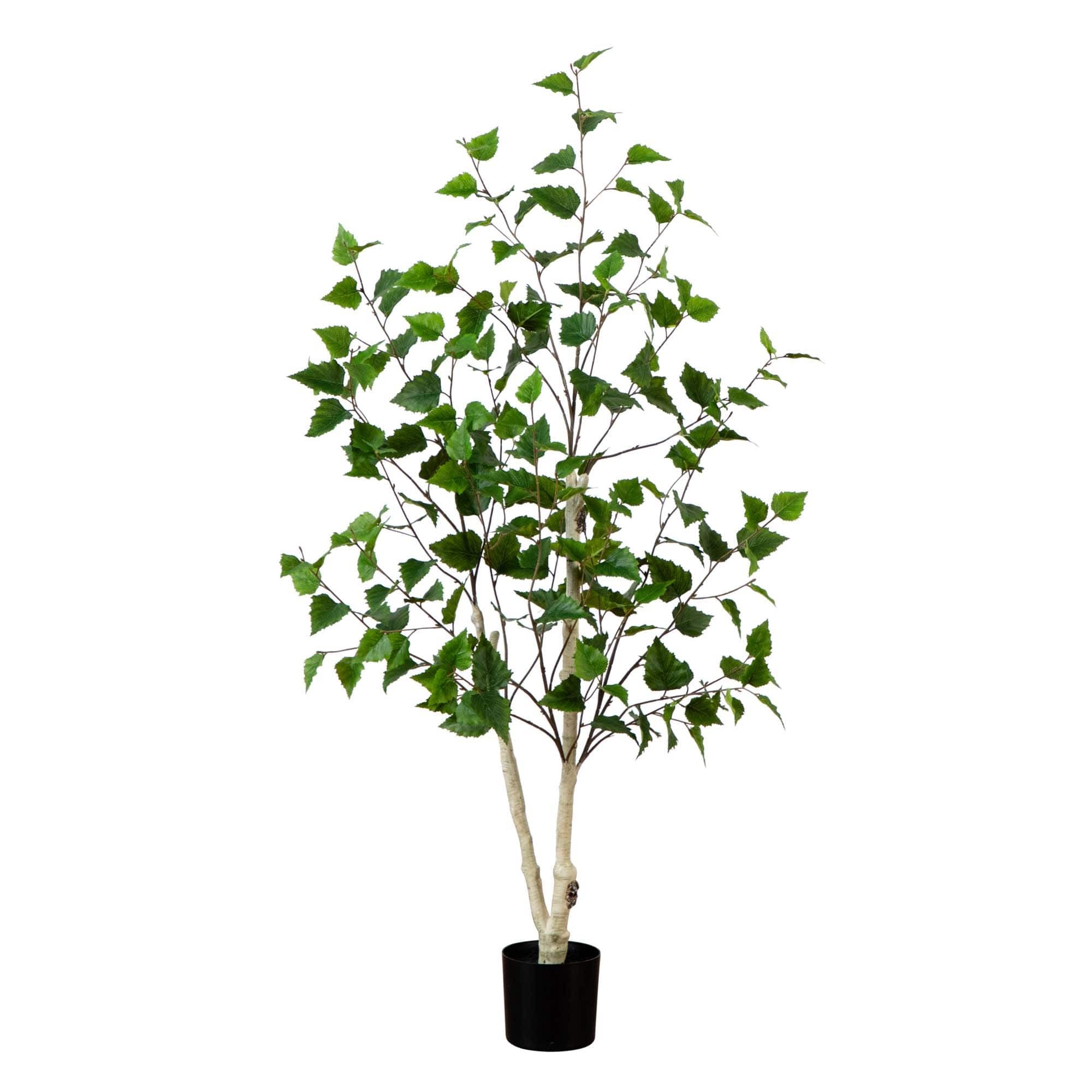 4Ft Potted Green Artificial Birch Tree with Real Touch Leaves By Nearly ...