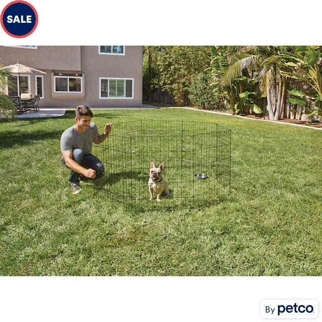 EveryYay Stretch Your Legs Adjustable Black Exercise Pen for Dogs, 30 ...