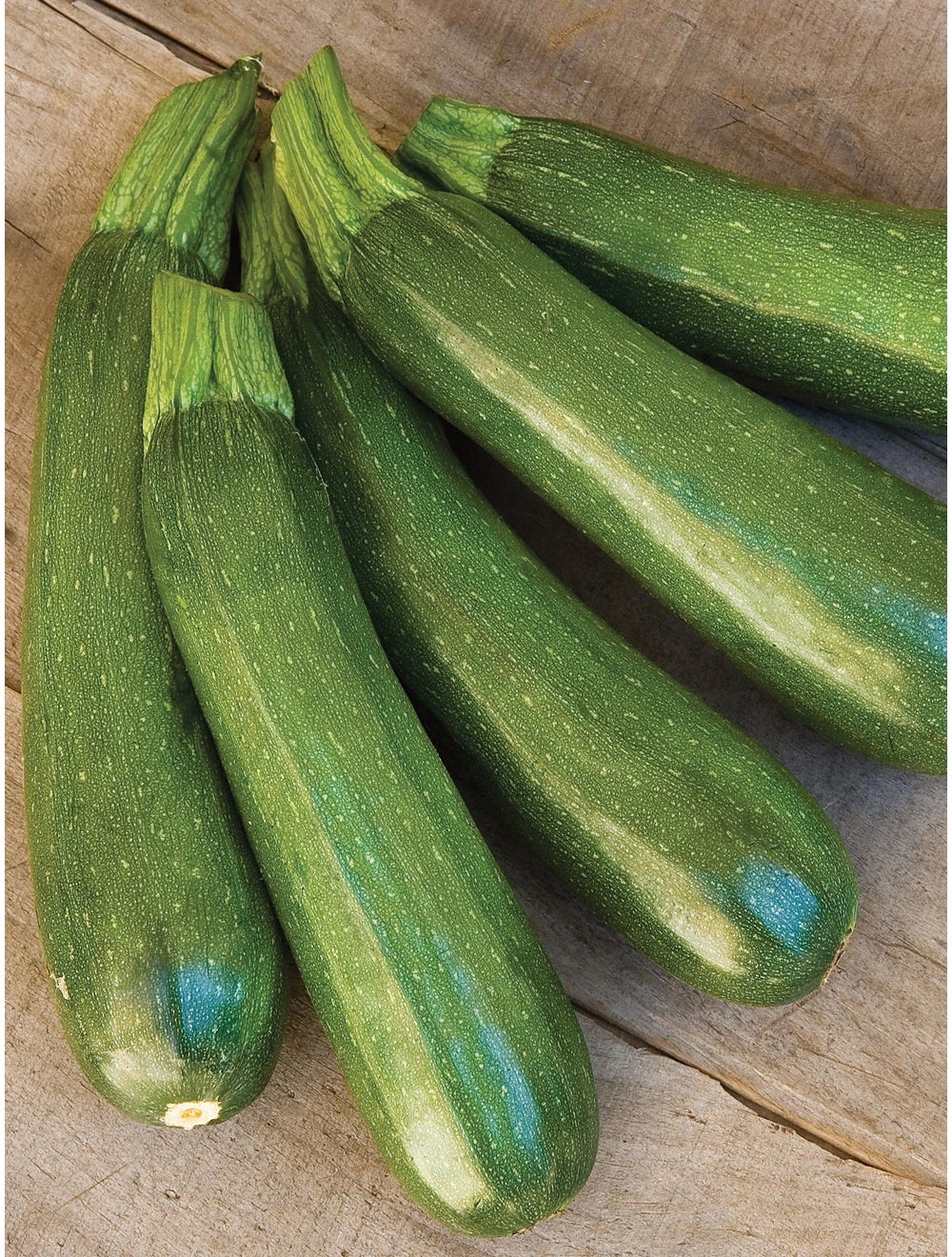 Squash, Summer, Fordhook Zucchini Die besten Deals und ...