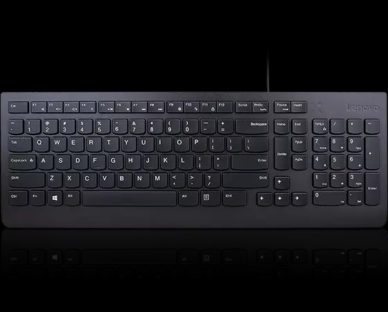 Lenovo Essential Wired Keyboard (Black) - US English 103P Best Deals ...