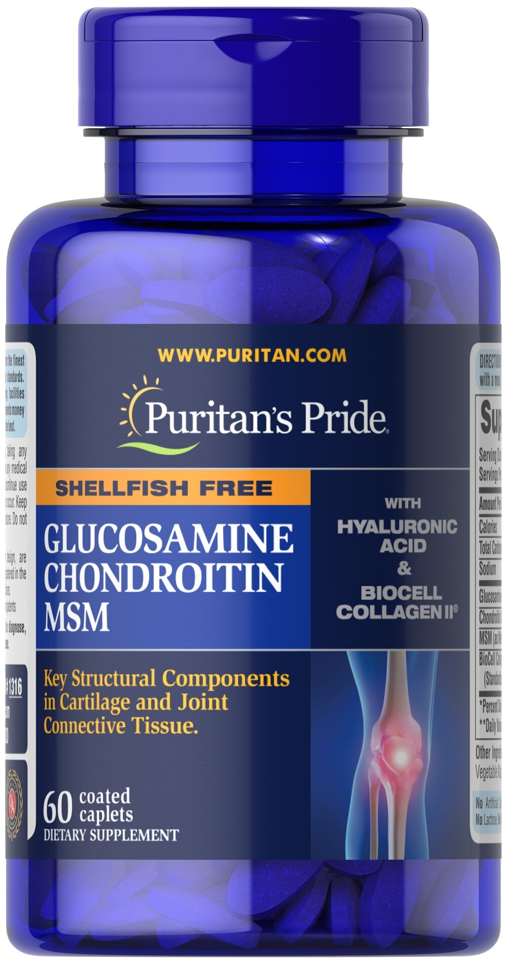 Glucosamine, Chondroitin & MSM with Hyaluronic Acid & Collagen Best ...