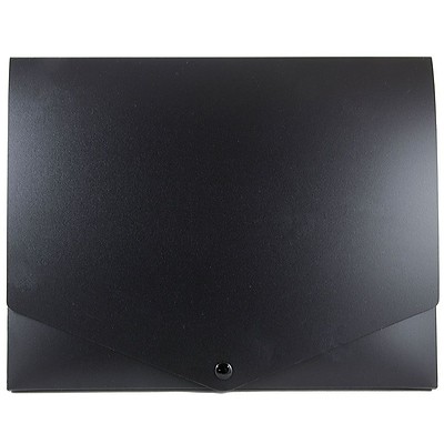 JAM Paper Plastic Portfolio with Snap Closure, Medium, 10 x 12 1/2 x 3/ ...
