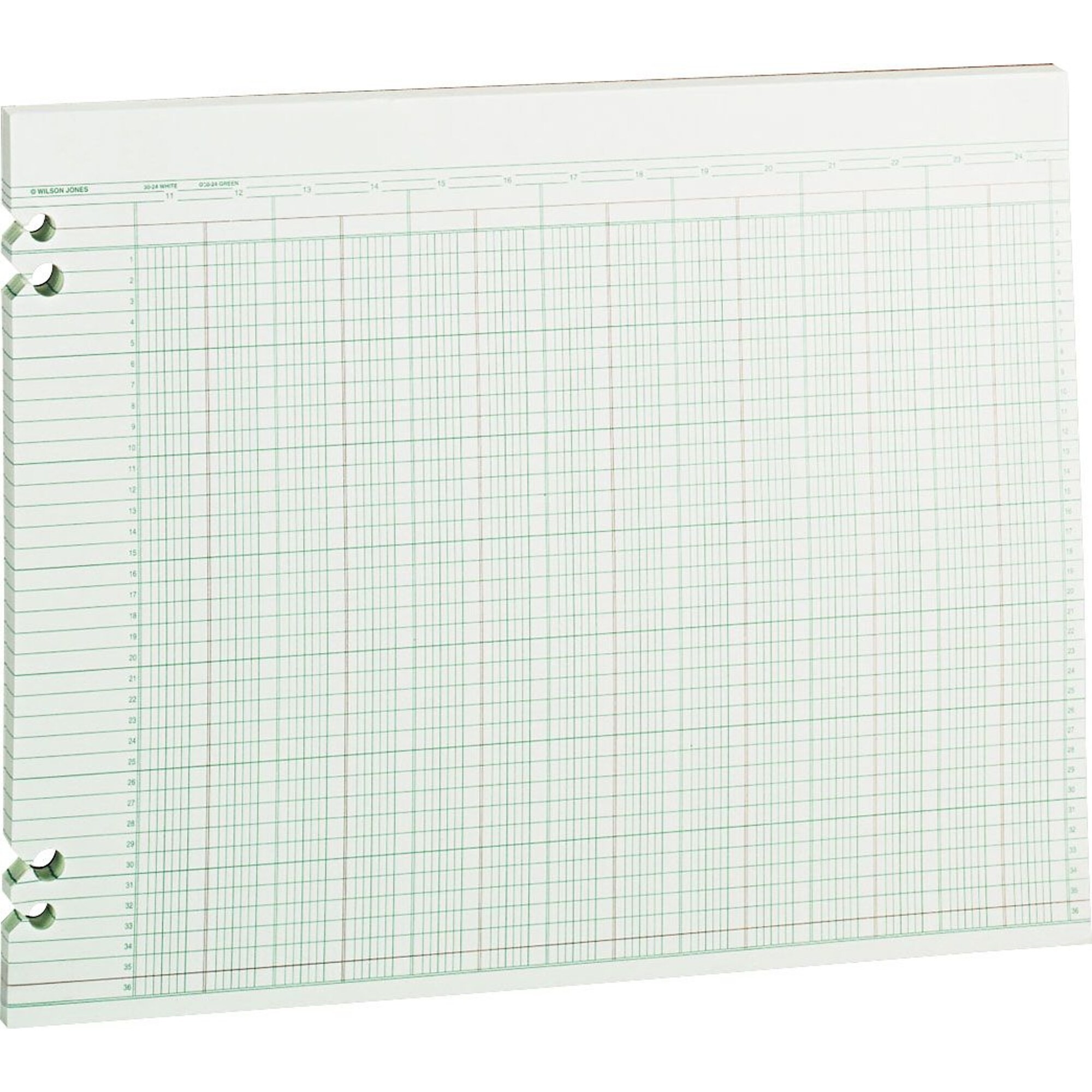 Wilson Jones Ledger Paper, 24 Columns, 11 x 14, Green, 100 Sheets ...