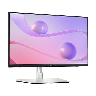 Dell 23.8 60 Hz LCD Monitor, Black/Gray (P2424HT) | Quill Deals and ...