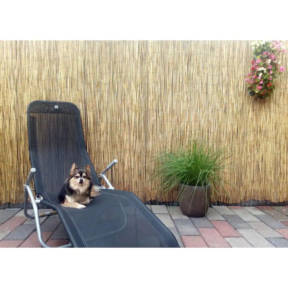 48 in. H x 168 in. W Natural Bamboo Reed Fence Panel Best Deals and ...