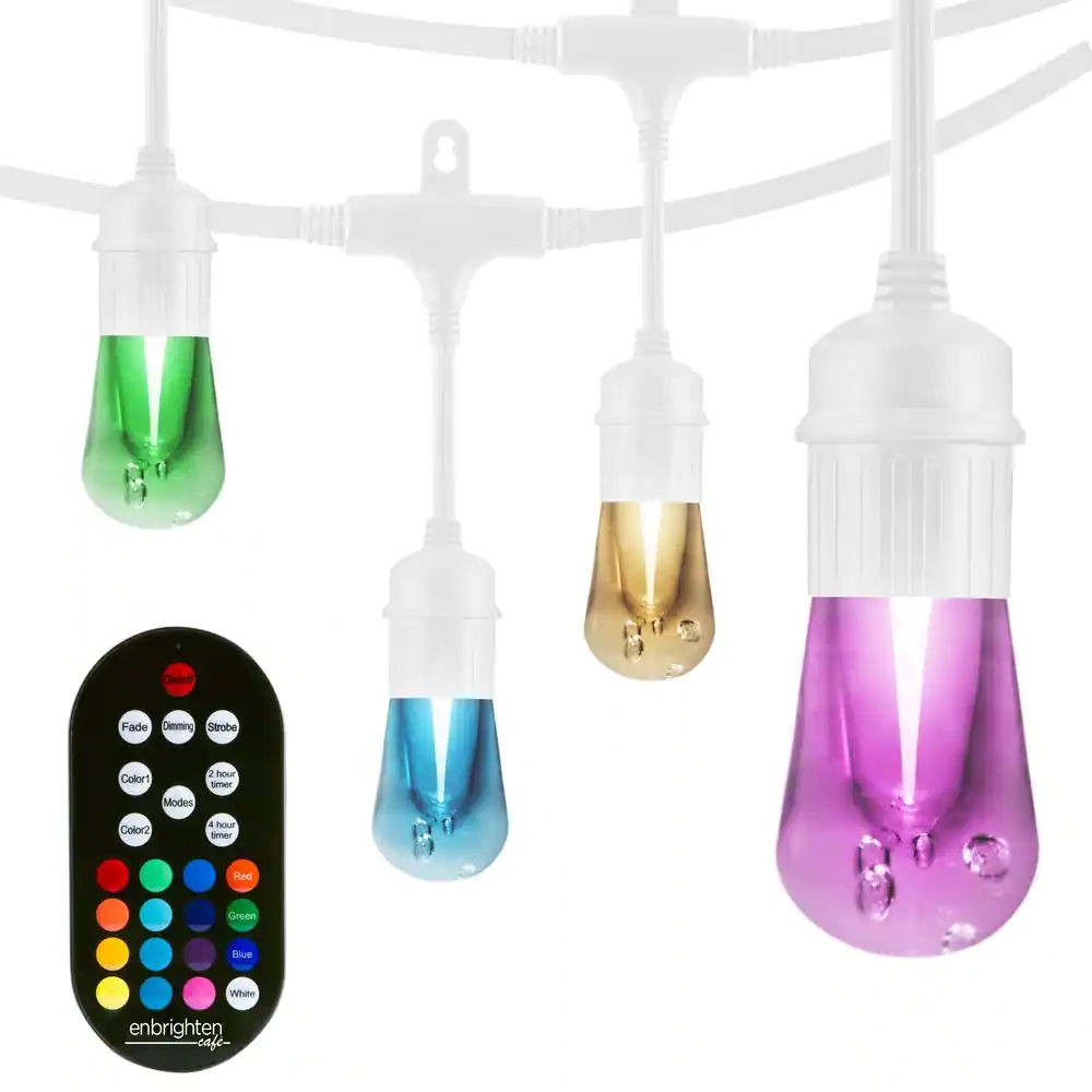 12 Bulb 24 ft. Outdoor/Indoor White Vintage Color Changing LED String ...